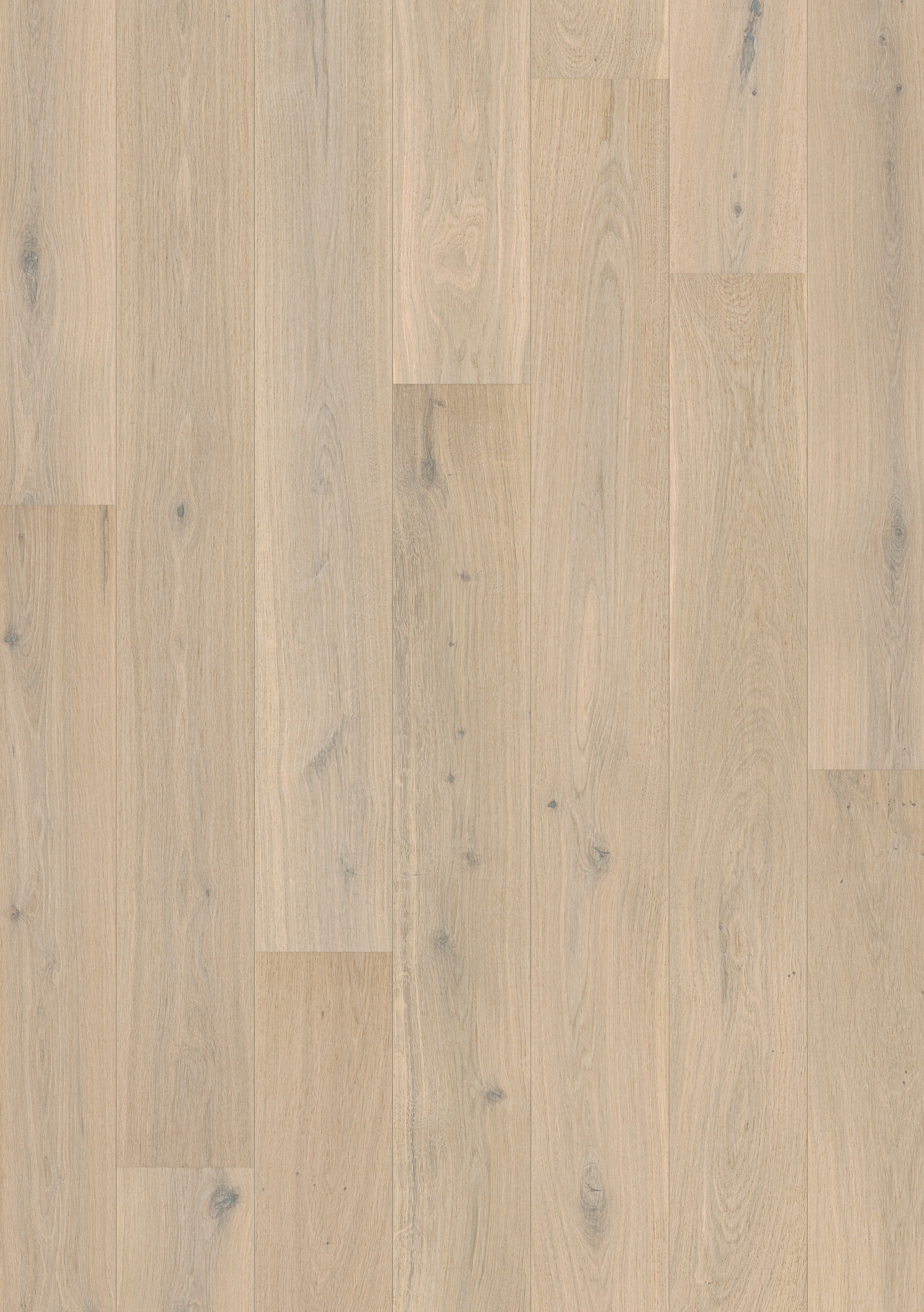 Falster Eik Nordlys HDF Accent 145 mm - Boa Flooring